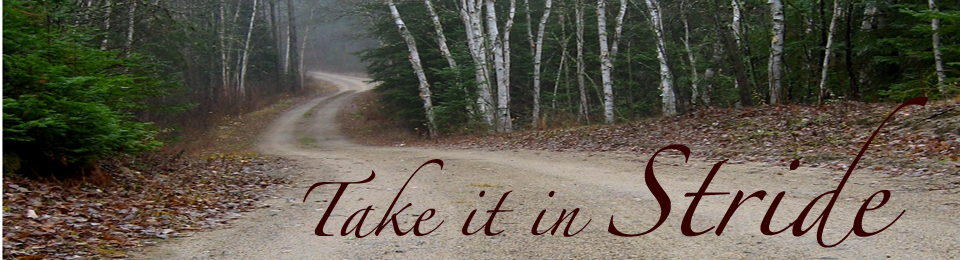 Shake and Bake 11: The “Let Us All Hum” Edition – Pam Bustin